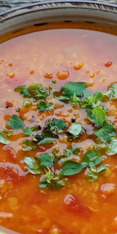 Instant Pot Red Lentil Tomato Soup Recipe My Edible Food